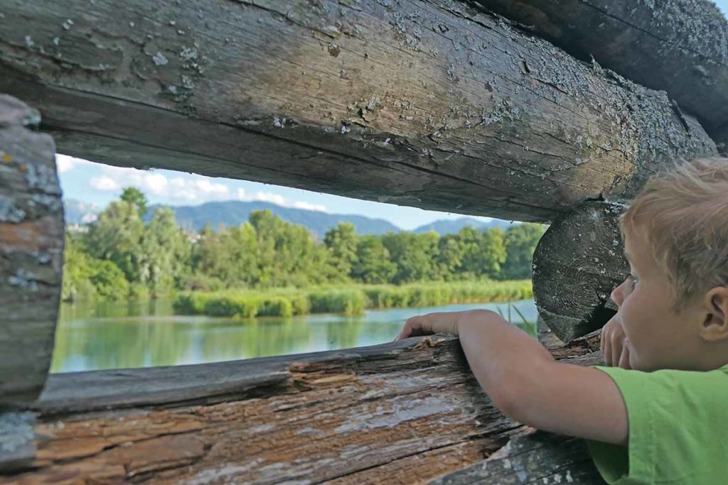 La réserve naturelle du Delta de la Dranse - Camping Saint Disdille